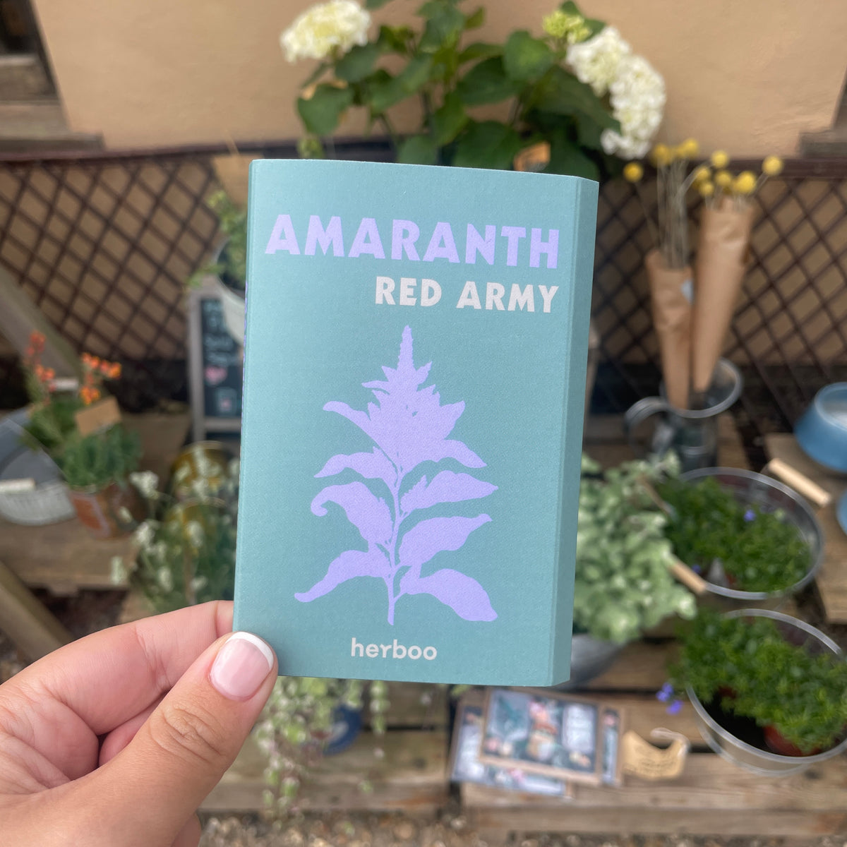 Amaranth Red Army Seeds – Freda & Bert