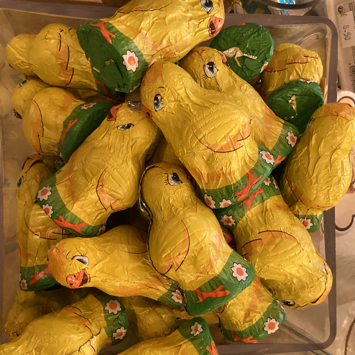 Chocolate Chicks – Freda & Bert