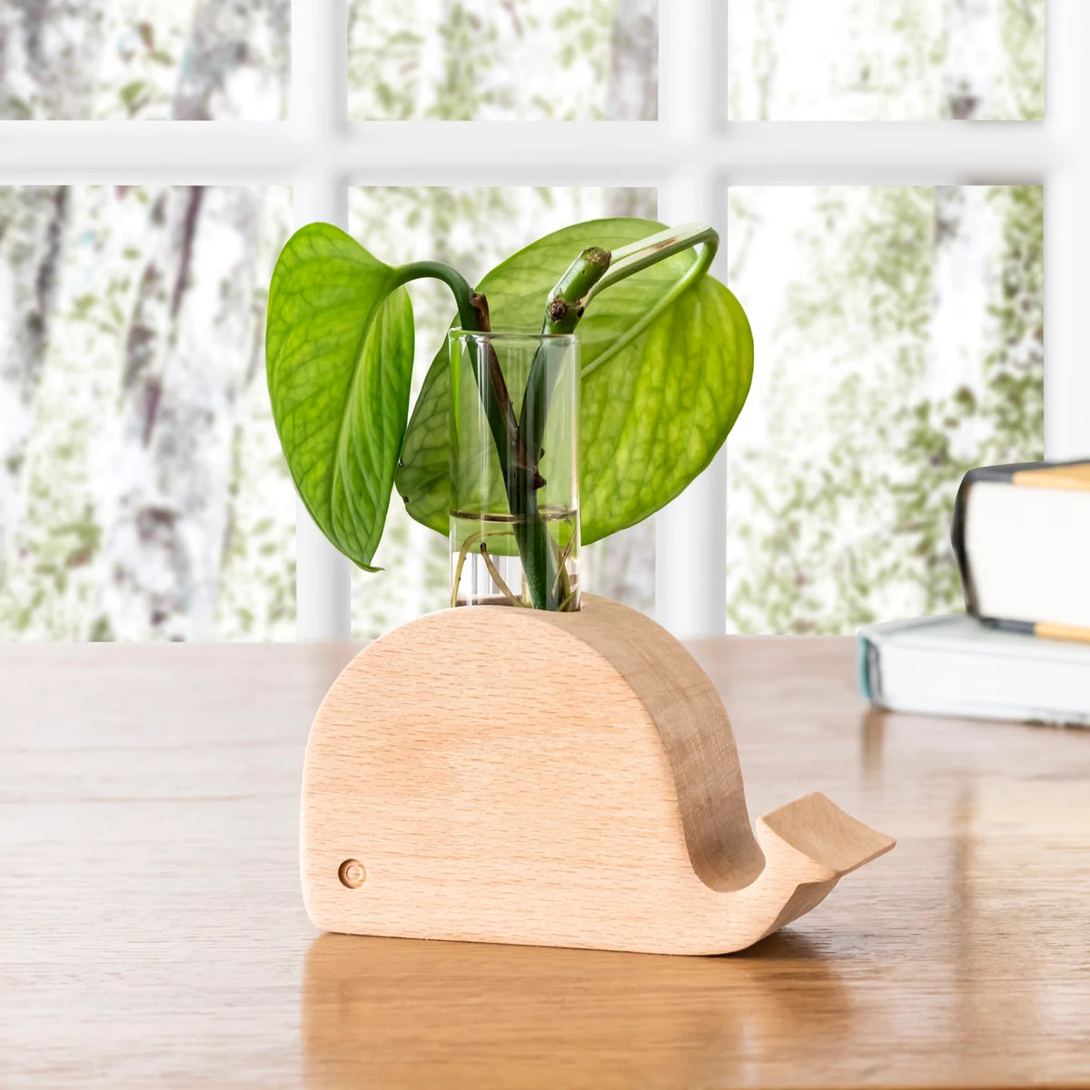 Whale Propagation Vase – Freda & Bert